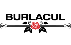 Burlacul