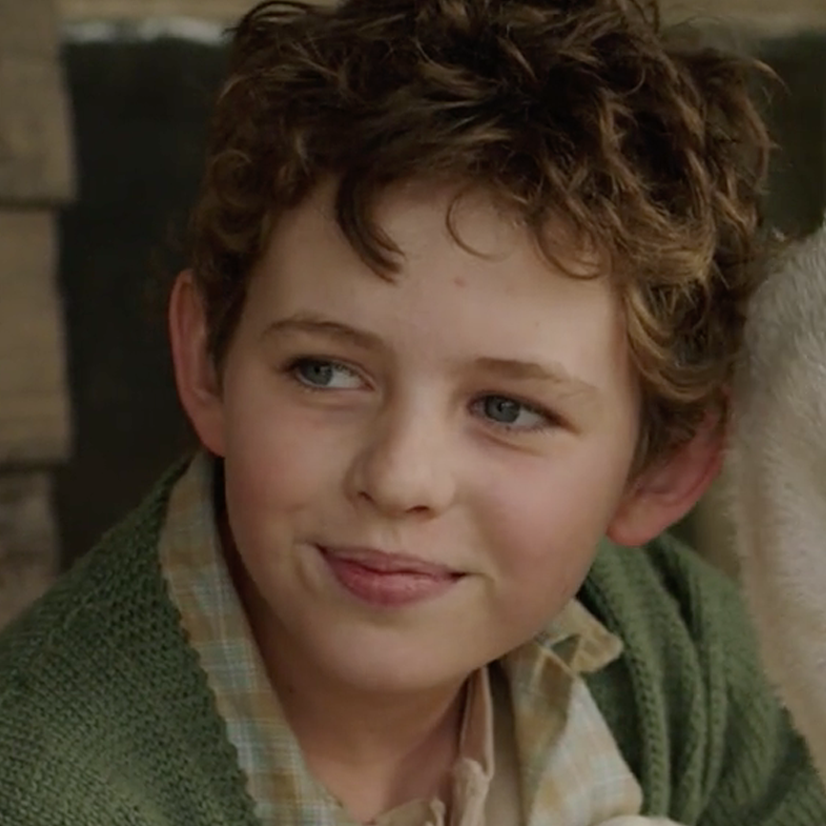 Copilul furtunii (Storm Boy) – Film de familie emoționant, online în ...