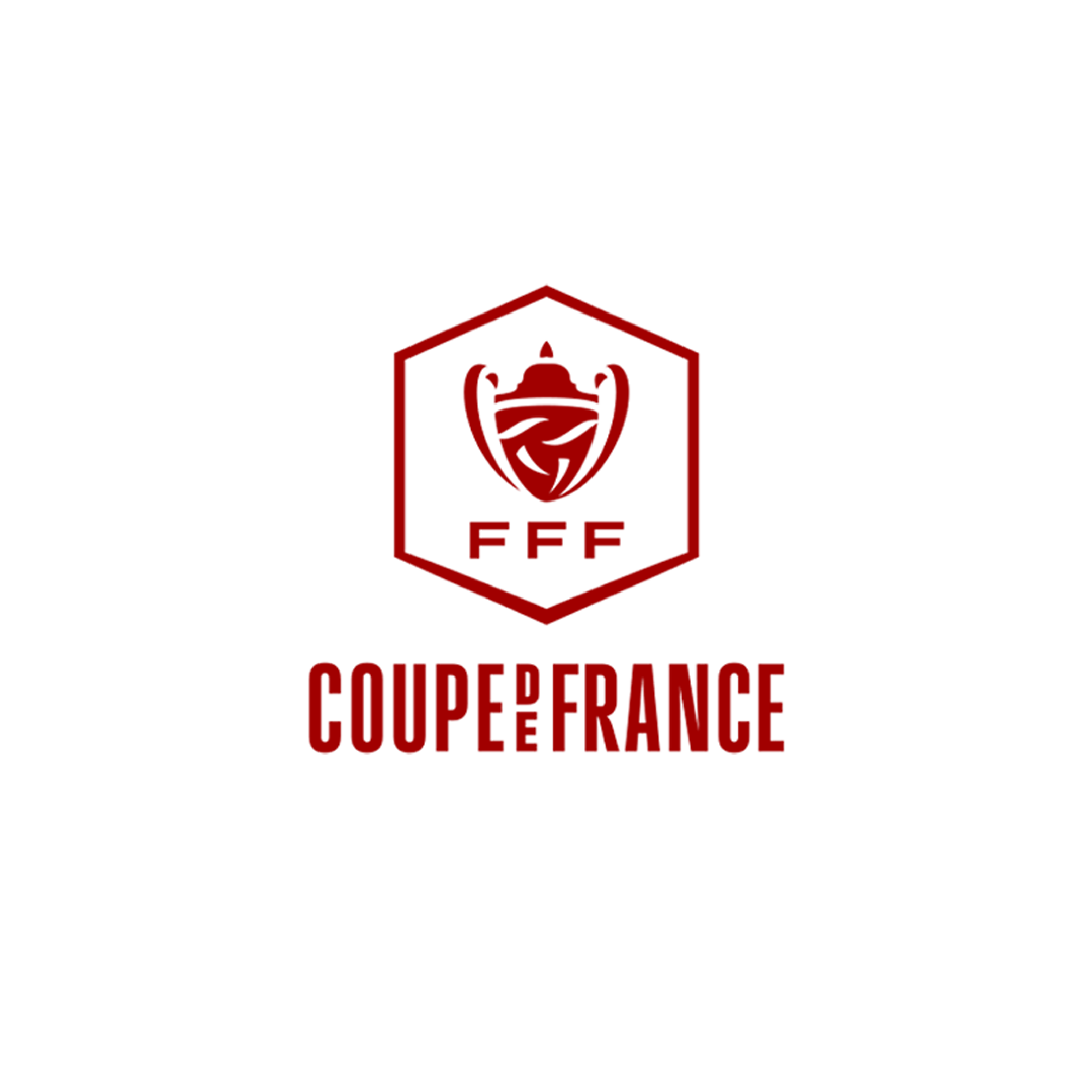 Cupa Frantei Strasbourg - Le Havre LIVE